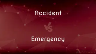 Region vs. Area — What’s the Difference?