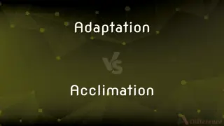 Verb vs. Adverb — What’s the Difference?
