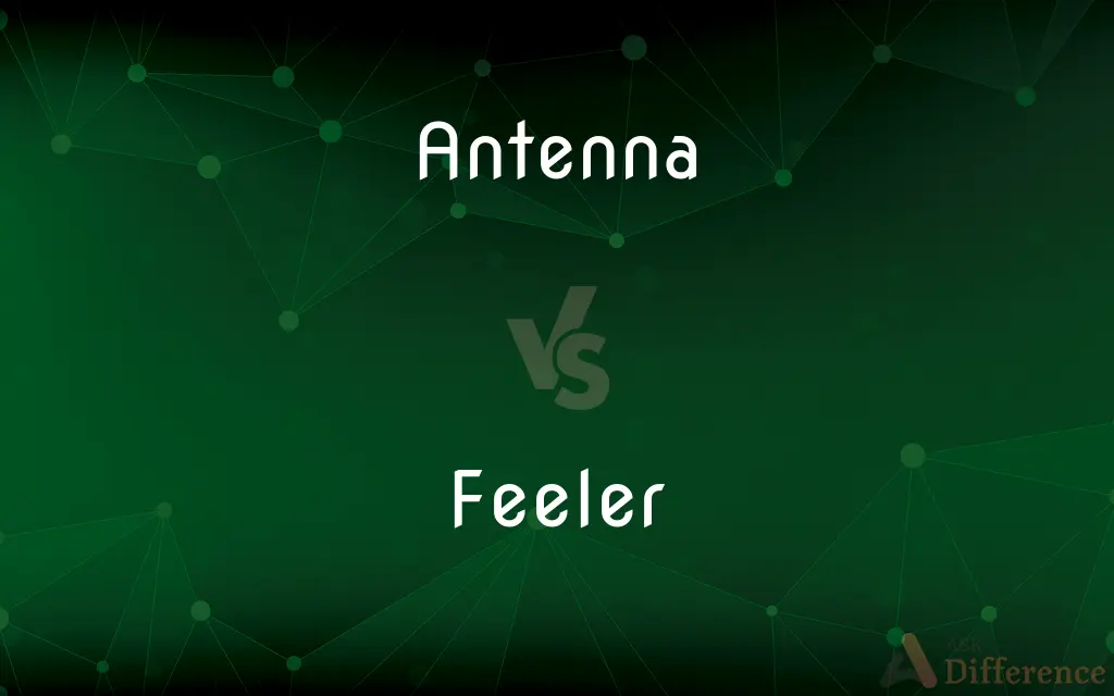 Antenna vs. Feeler — What’s the Difference?