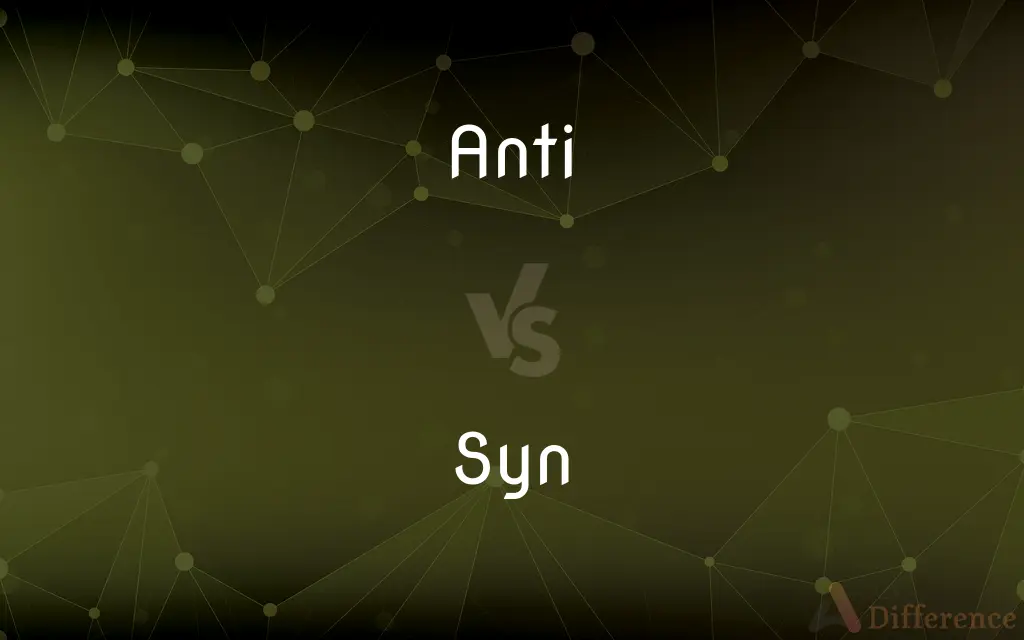 Anti vs. Syn — What’s the Difference?