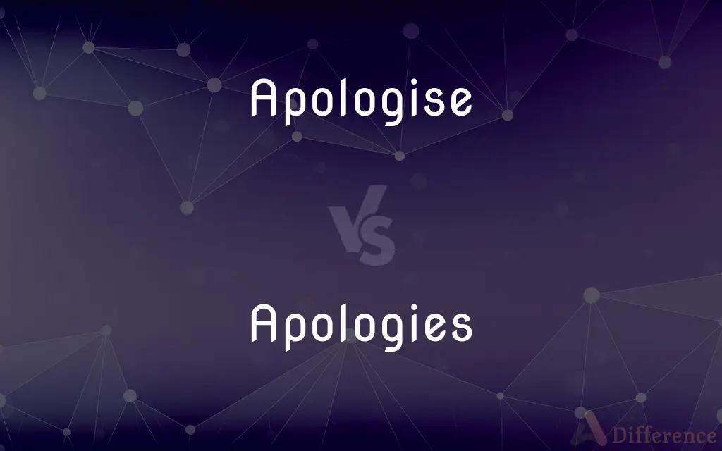 Apologise Vs Apologies What s The Difference Apologise Vs Apologies What s The Difference