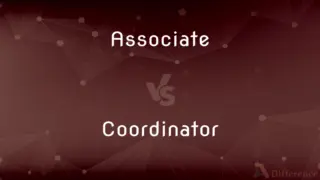 Connect vs. Link — What’s the Difference?
