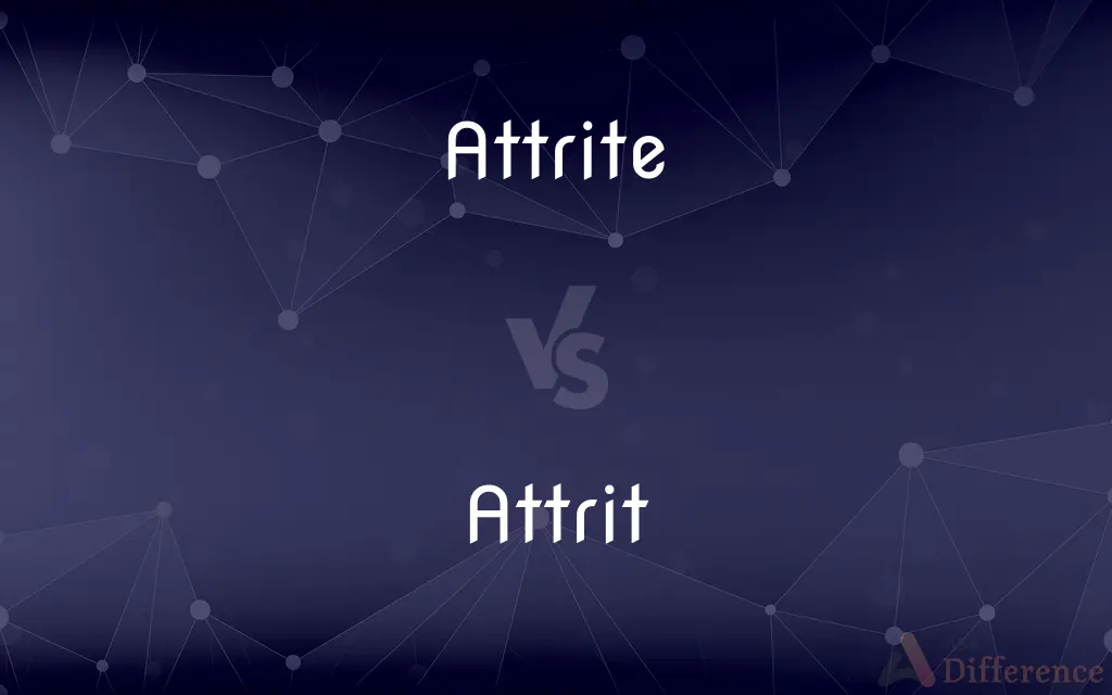 Attrite vs. Attrit — Which is Correct Spelling?