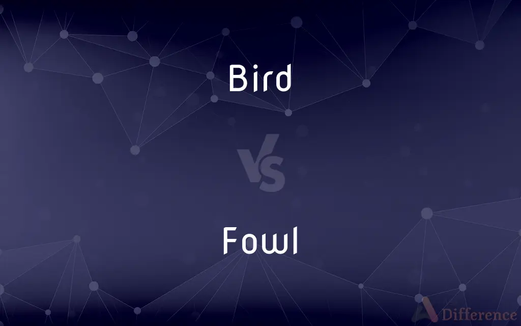 Bird vs. Fowl — What’s the Difference?