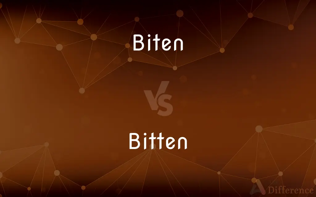 Biten Vs Bitten Which Is Correct Spelling Biten Vs Bitten Which Is Correct Spelling