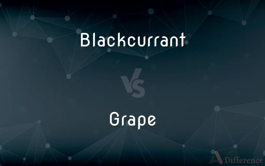 Blackcurrant vs. Grape — What’s the Difference?