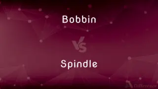 Bet vs. Bit — What’s the Difference?