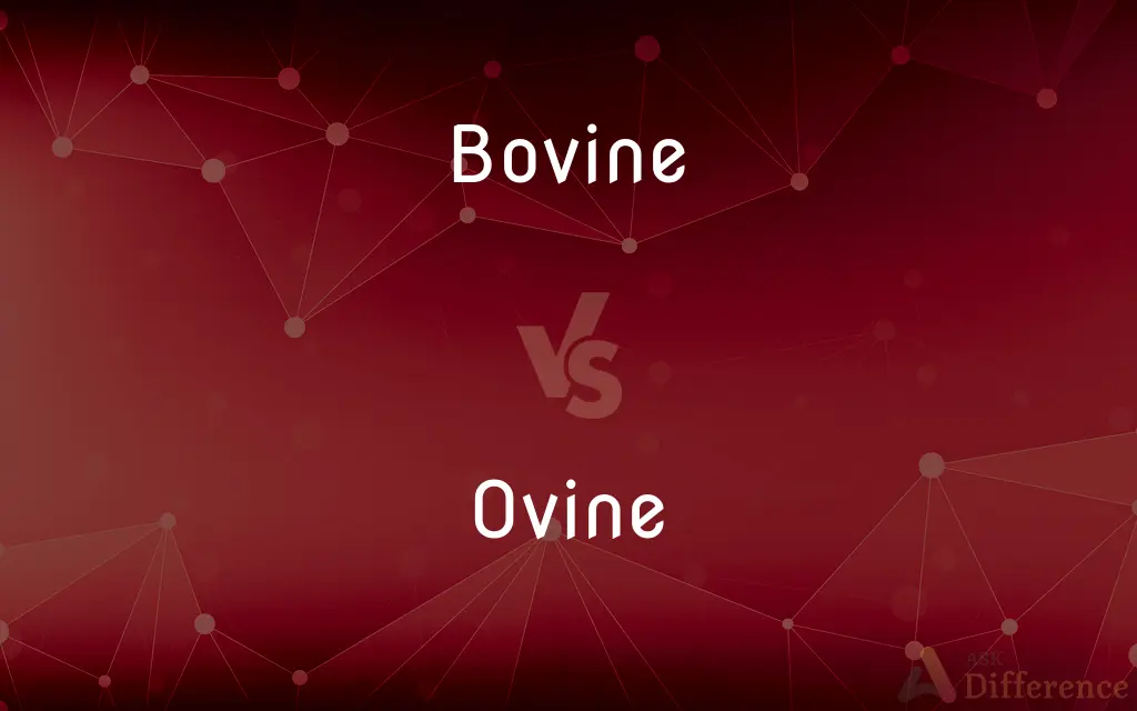 Bovine vs. Ovine — What’s the Difference?