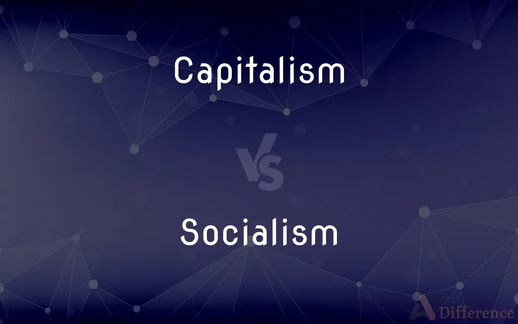 Capitalism vs. Socialism — What’s the Difference?