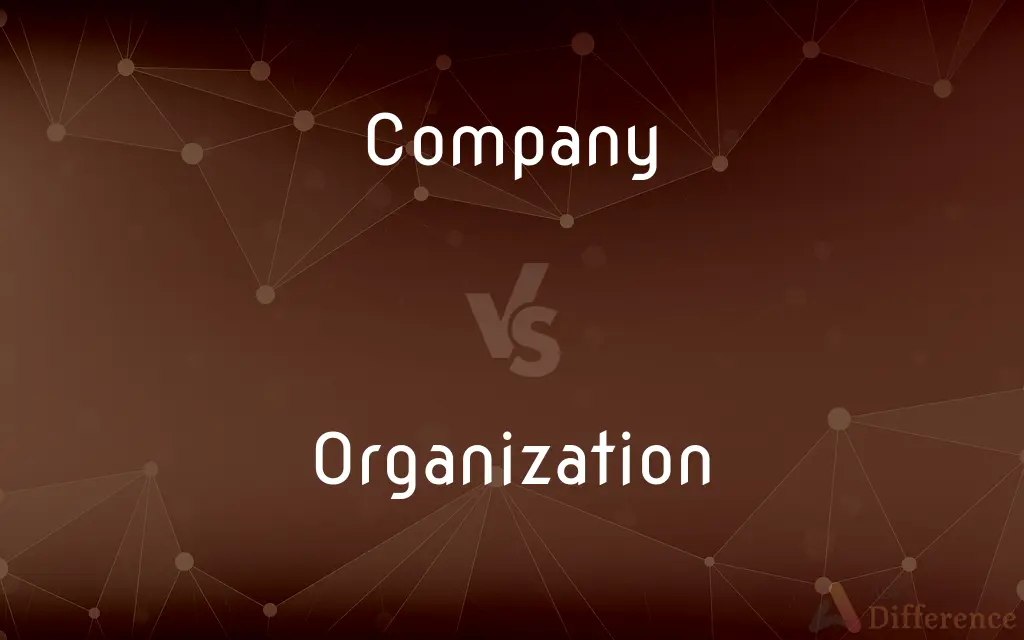 Company Vs Organization What s The Difference Company Vs Organization What s The Difference