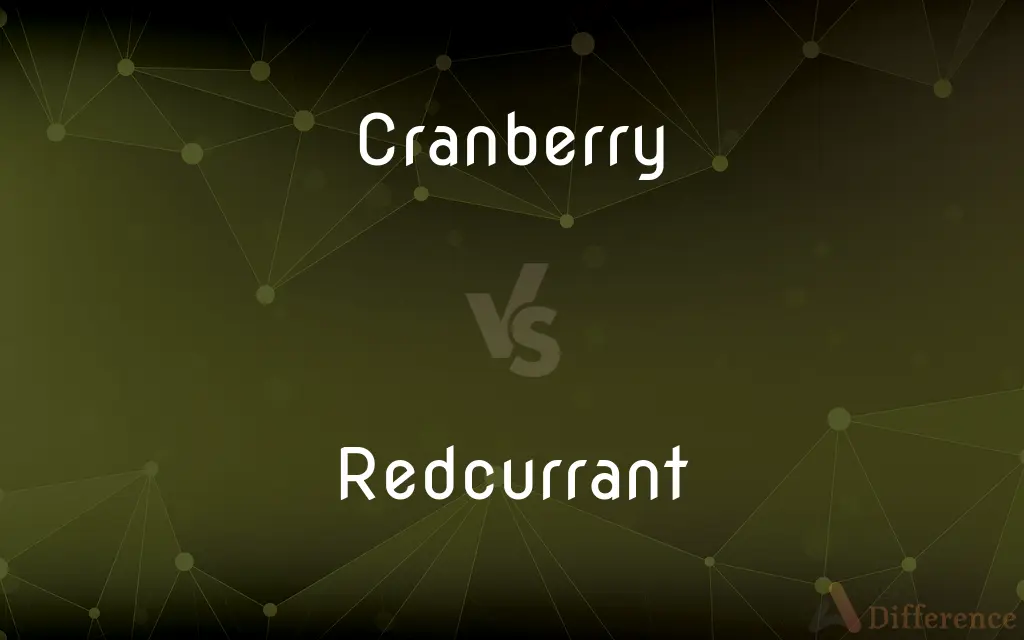 Cranberry vs. Redcurrant — What’s the Difference?