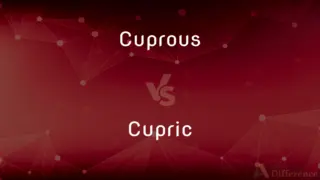 Sarcastic vs. Cynical — What’s the Difference?