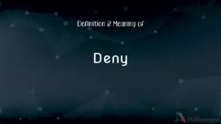 Damp Definition and Meaning
