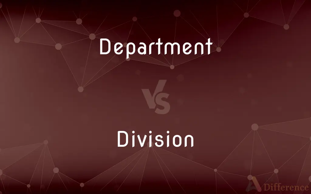Department Vs Division What s The Difference Department Vs Division What s The Difference