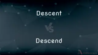 Head vs. Face — What’s the Difference?
