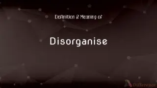 Scant Definition and Meaning