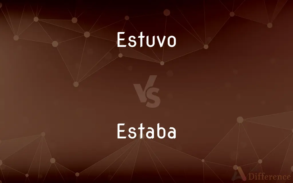 Estuvo vs. Estaba — What’s the Difference?