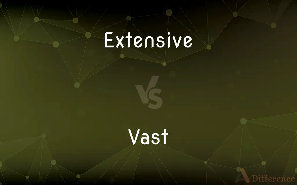 Extensive Vs Vast What s The Difference Extensive Vs Vast What s The Difference