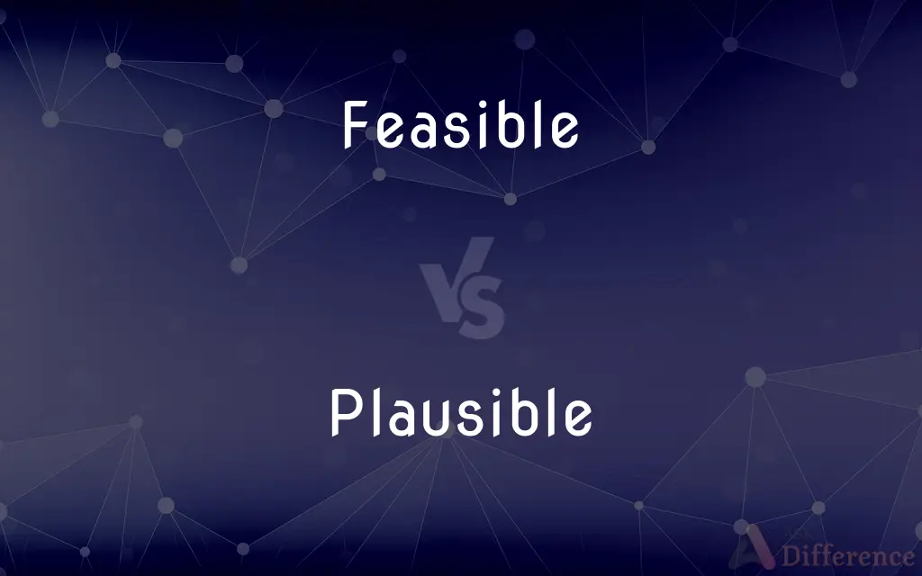 Feasible vs. Plausible — What’s the Difference?