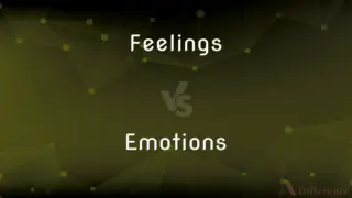 Felt vs. Feel — What’s the Difference?