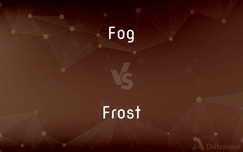 Fog vs. Frost — What’s the Difference?
