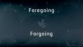 Staid vs. Stayed — What’s the Difference?