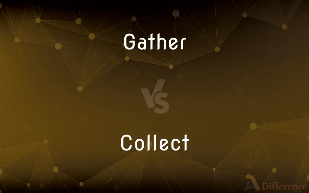 Gather Vs Collect What s The Difference Gather Vs Collect What s The Difference