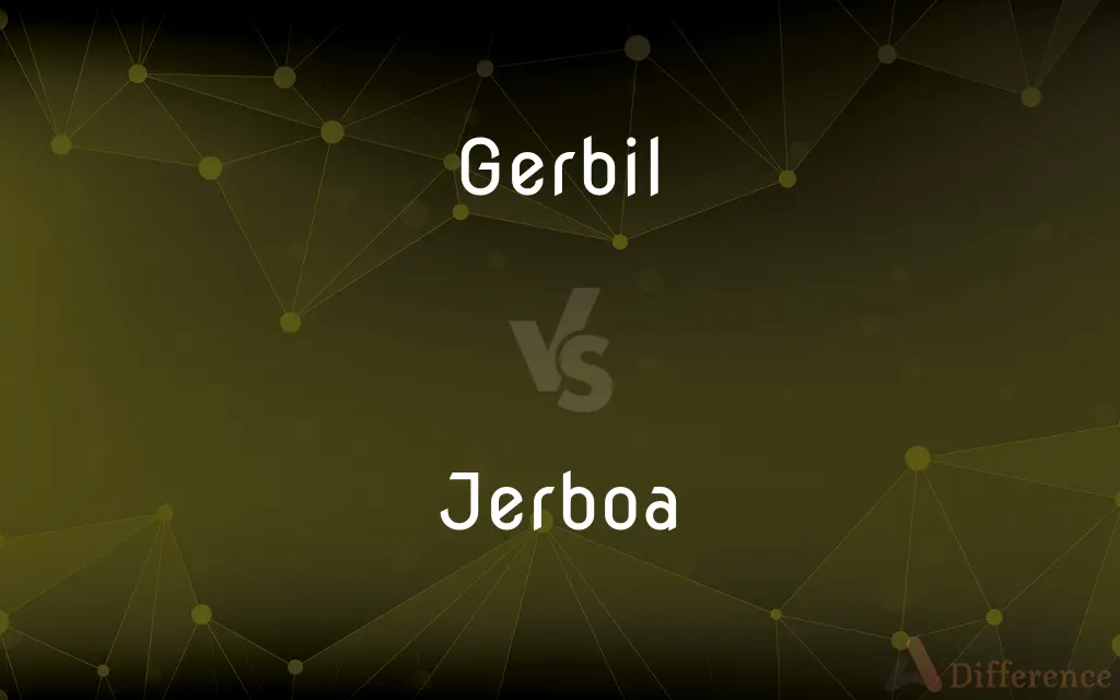 Gerbil vs. Jerboa — What’s the Difference?