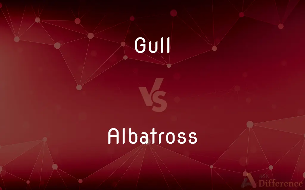 Gull vs. Albatross — What’s the Difference?