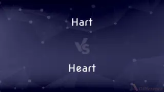 Has vs. Have — What’s the Difference?
