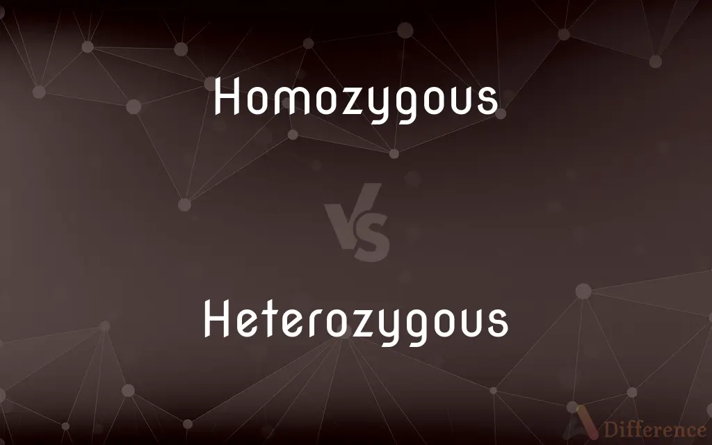Homozygous vs. Heterozygous — What’s the Difference?