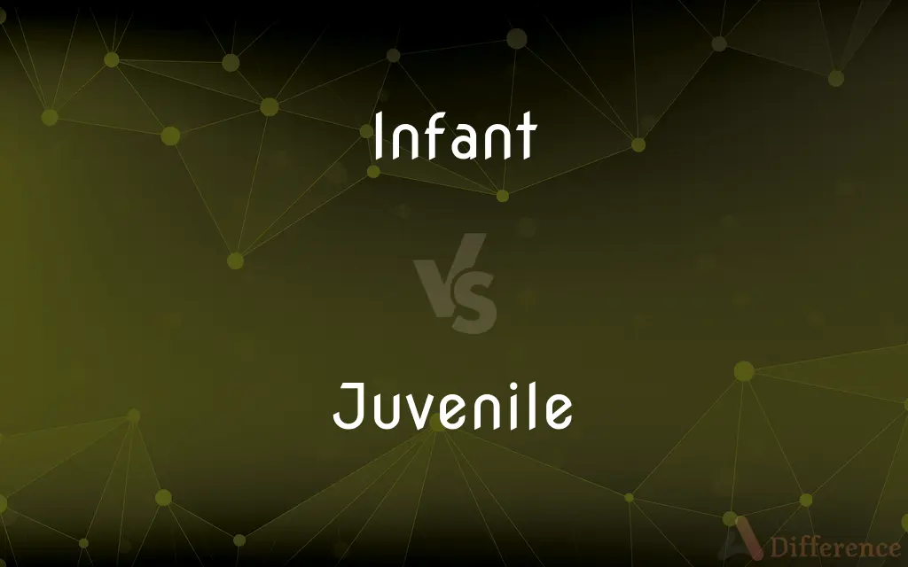 Infant vs. Juvenile — What’s the Difference?