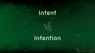 Rather vs. Prefer — What’s the Difference?