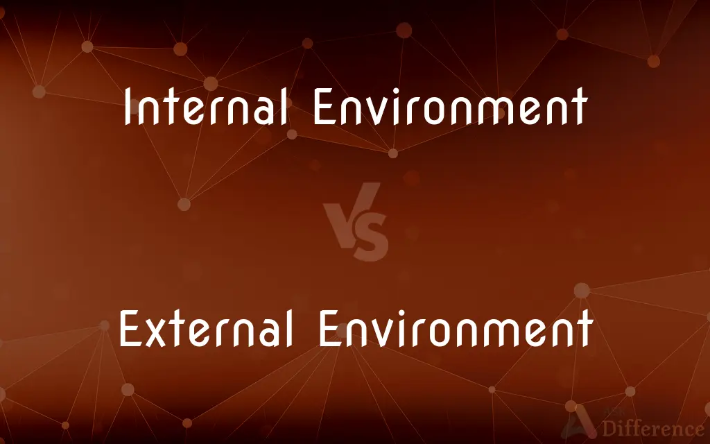 Internal Environment Vs External Environment What s The Difference 