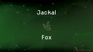 Thx vs. Tnx — What’s the Difference?