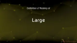 Level Definition and Meaning