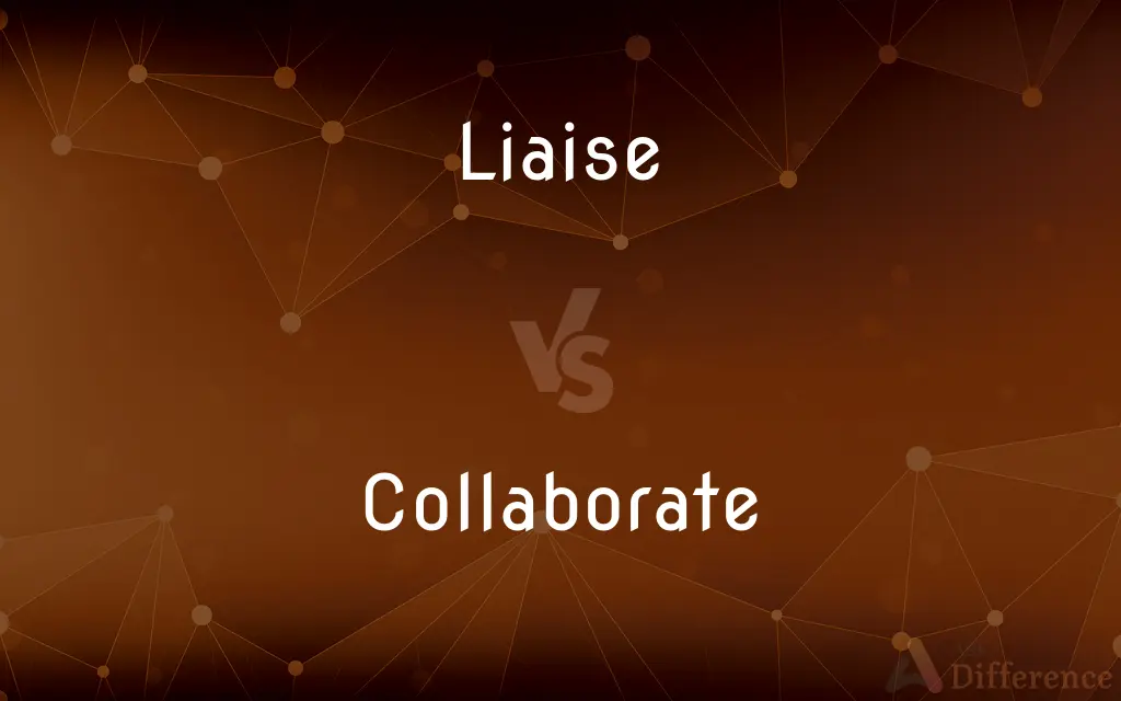 Liaise vs. Collaborate — What’s the Difference?