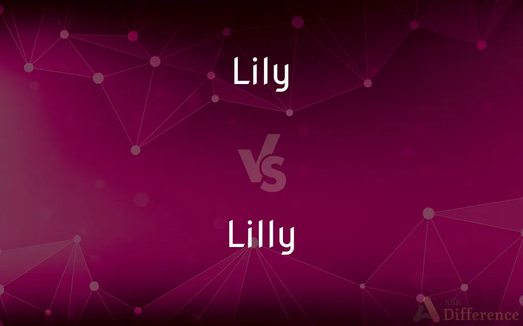 Lily Vs Lilly What s The Difference Lily Vs Lilly What s The Difference