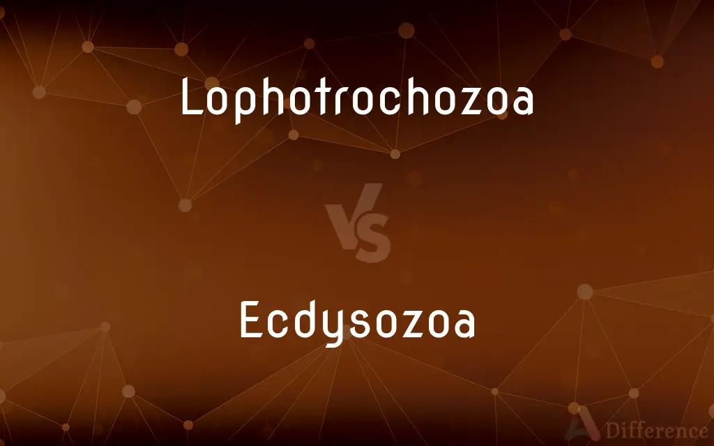 Lophotrochozoa vs. Ecdysozoa — What’s the Difference?