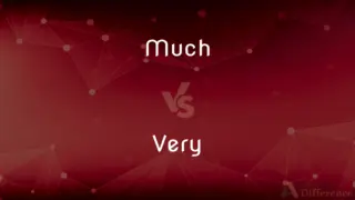 Pupil vs. Student — What’s the Difference?