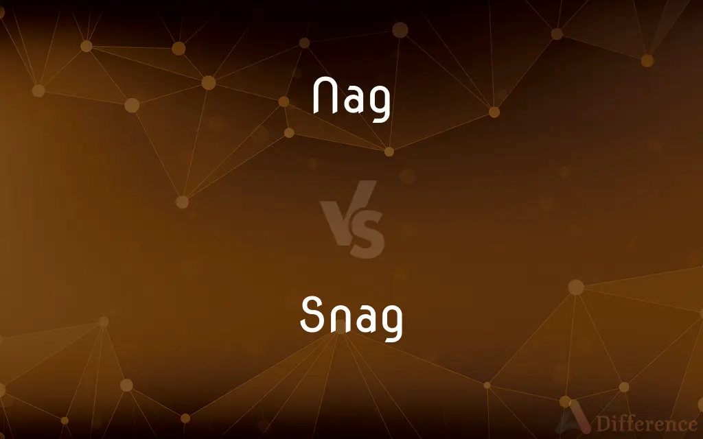 Nag Vs Snag What s The Difference 