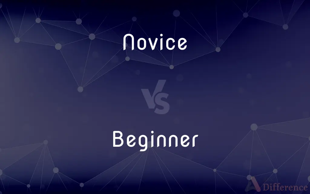 Novice Vs Beginner What s The Difference Novice Vs Beginner What s The Difference