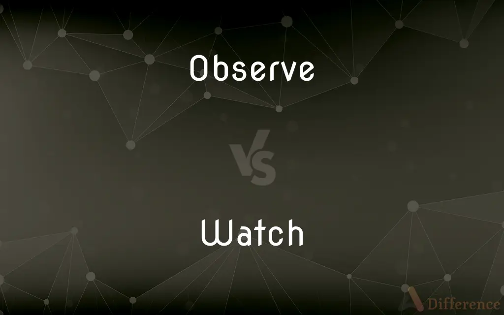 Observe Vs Watch What s The Difference 