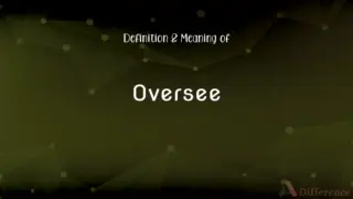 View Definition and Meaning