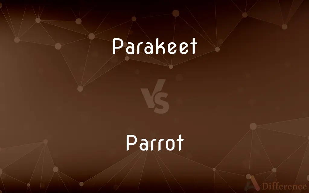 Parakeet vs. Parrot — What’s the Difference?
