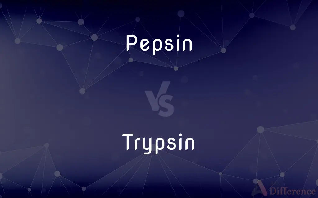 Pepsin vs. Trypsin — What’s the Difference?