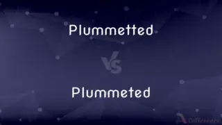 Director vs. Directer — Which is Correct Spelling?