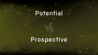 Who vs. What — What’s the Difference?