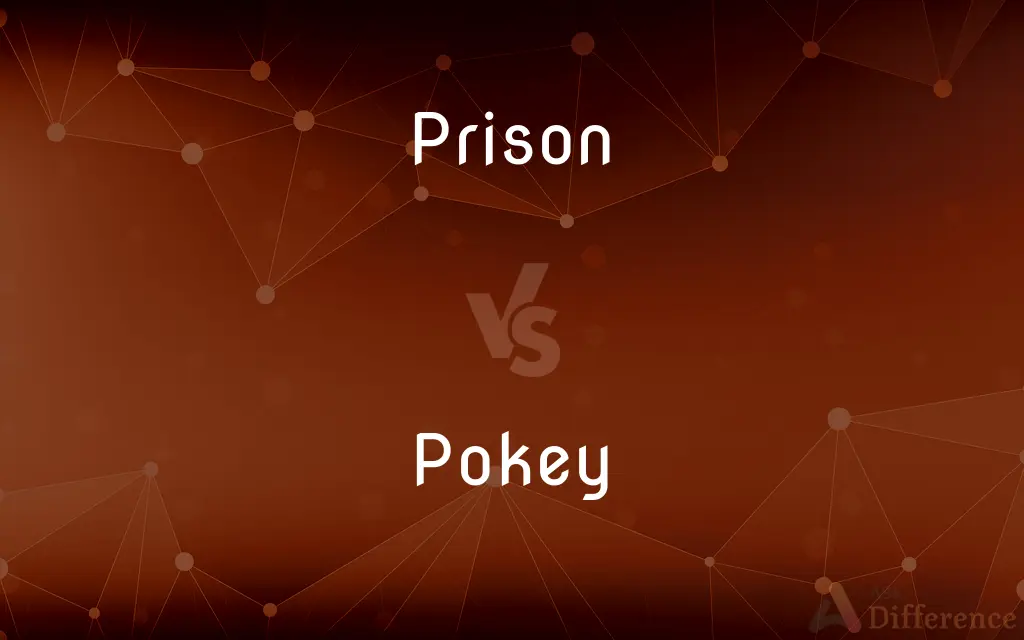 Prison vs. Pokey — What’s the Difference?