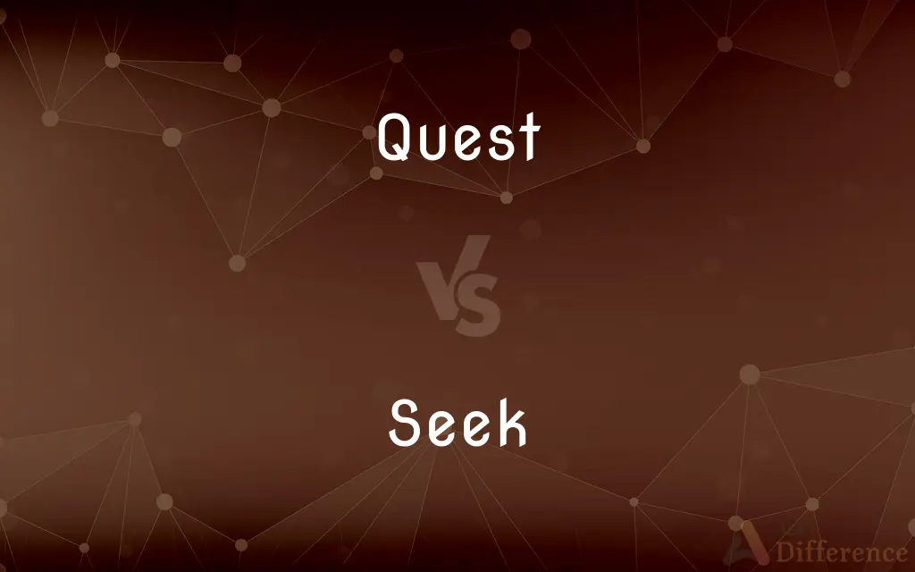 Quest vs. Seek — What’s the Difference?